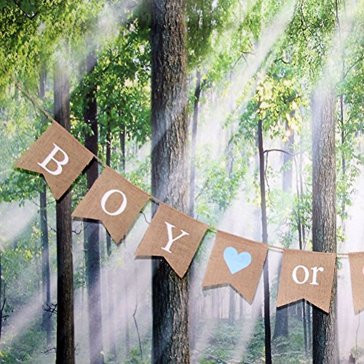 Gender Reveal Party - Baby Shower Decorations -"BOY or GIRL" Burlap Banner by Akak Store - Pregnancy Announcement