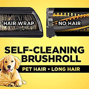 Shark QU202Q DuoClean Slim Upright Vacuum (Red) (Renewed)