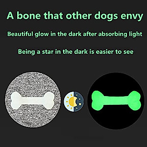 DAJIDALI Dog and Cat Shirt in Tech Fabric with Luminous Print, Pet Clothes for Large, Medium, and Small Dogs, 2-Pack of Lightweight Functional t-Shirts