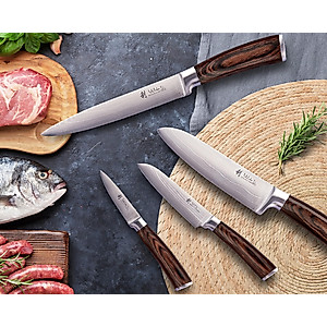 Wakoli EDIB 4-pcs Damascus Knife Set I Professional Kitchen Knives made of Japanese Damascus Steel VG10 Chef Knife Set with Pakka Wood Handle in Gift Box