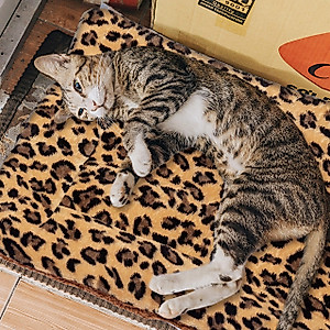 FLYSTAR Cat Bed Mat for Indoor Cats - Self Warming Leopard Cute Cat Bed Mat, Soft Warm Washable Self Heating Cat Bed Pad for Small, Medium, Large Cats & Puppies(15.7"*19.7")