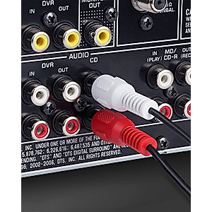 Fosmon 2-RCA Male to 2-RCA Male (6 FT), Dual 2 RCA Cable, Stereo Audio 2RCA Cord Male to Male Connector