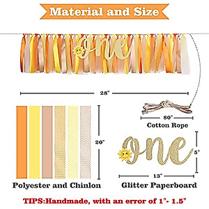 First Trip Around the Sun Birthday Decorations - 1st First Birthday Banner Highchair, High Chair Fabric Garland Party Supplies, Red Orange Yellow Green Blue Cyan Purple, Photo Props, Handmade