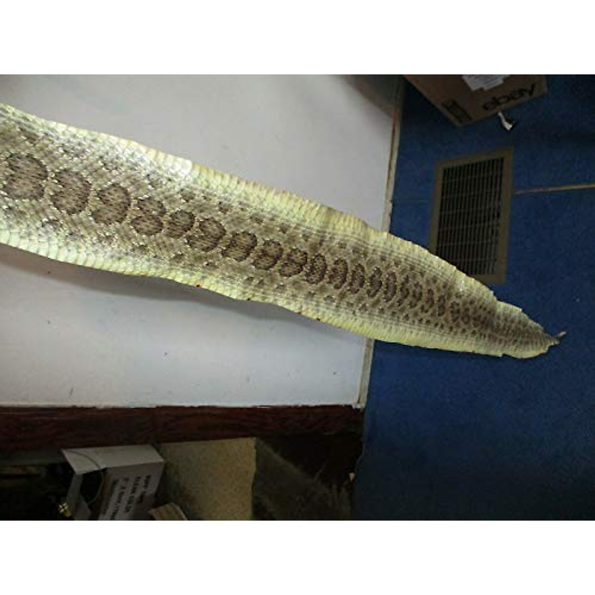 Rattlesnake Skin Prairie Rattler Hide Dry Tanned Bow Wrap Pen Blanks 44"