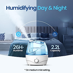 Cegsin Humidifiers for Bedroom (2.2L Water Tank), Cool Mist Humidifiers for Baby & Plant, Room Humidifier for Home & Nursery, BPA-Free for Safety, 360° Nozzle, Auto Shut-Off, Night Light