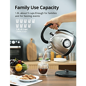 Retro Electric Water Kettle 1.8L Stainless Steel for Boiling Water with Temperature Gauge, Visible Water Level Line, Led Light, Auto Shut-Off & Boil-Dry Protection, 1500W Fast Heating