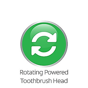 Colgate Kids Battery Powered Toothbrush, Branch