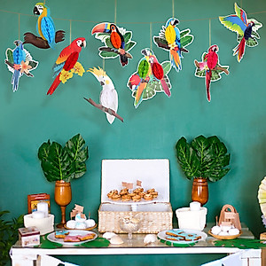 9 Pieces Tropical Birds Honeycomb Paper Cutouts Rio Luau Party Hanging Decorations Rainforest Hanging Paper Birds Hawaiian Summer Parrot Honeycomb Cutouts for Luau Summer Party Decor