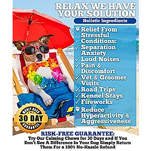 Well Loved Calming Chews for Dogs - Dog Calming Treats, Made in USA, Vet Developed, Dog Anxiety Relief, Separation, Fireworks, Travel & Stress Support, Melatonin, Natural & Holistic, 90 Calming Treats