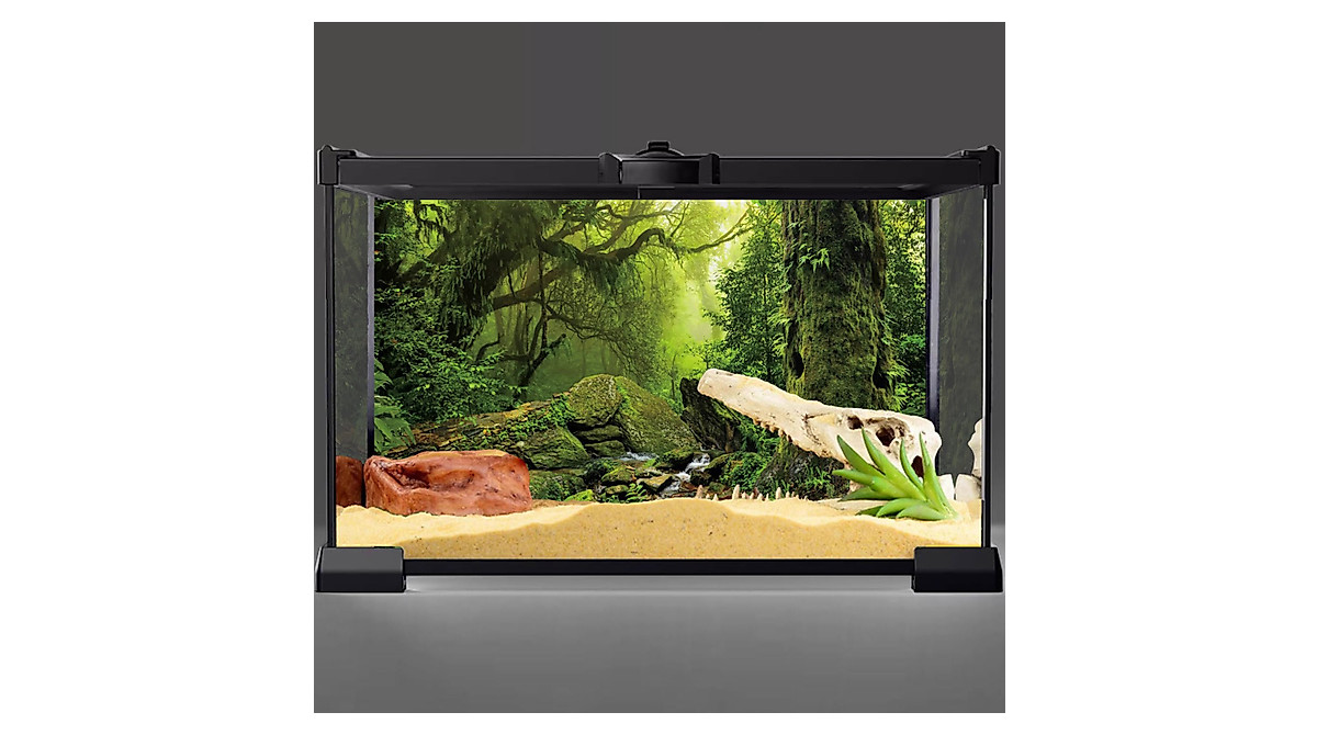 AWERT Tropical Forest Background for Aquarium & Terrarium