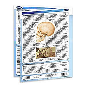 Headaches Guide - Medical Quick Reference Chart - 8.5" x 11" 4-Page Laminated
