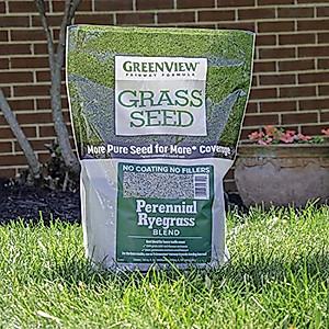 Greenview Fairway Formula Grass Seed Perennial Ryegrass Blend - 3 lb. Bag