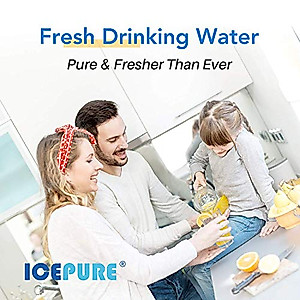 ICEPURE 10"X4.5",1 Microns Whole House Sediment Activated Carbon Water Filter Compatible with Dupont WFHDC8001,EP Series,EPM Series,CB-BB-10, GE FXHTC, GXWH40L, GXWH35F, GNWH38S, CTO10BB,1PACK