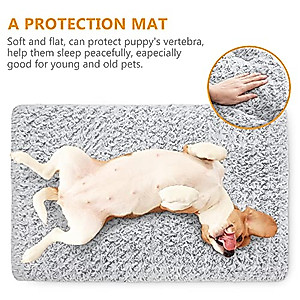 MIXJOY Dog Bed Kennel Pad Washable Anti-Slip Crate Mat for Extra Large Dogs and Cats (42-inch)