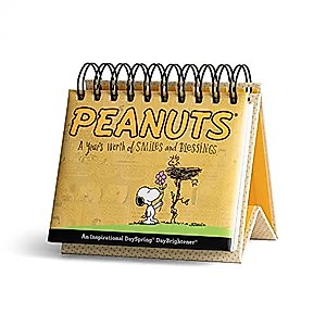 Dayspring - Peanuts - Smiles and Blessings - Perpetual Calendar (75668), Yellow