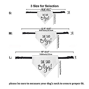 Engagement Gift, My Humans are Getting Married Dog Bandana Collar, Strong D-Ring for Easy Leash Attached Engagement Dog Bandana, Adjustable Dog Collar with Quick Release Buckle for Dogs Cats