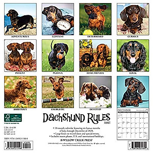Dachshund Rules 2021 Wall Calendar (Dog Breed Calendar)