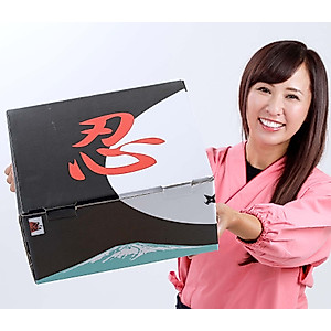 HAKONE YOSEGI Ceramic Japanese Ramen Bowl Set (Black, 60oz)