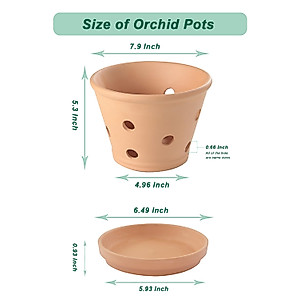 vensovo 6 Inch Terracotta Orchid Pots with Holes and Saucers - 3 Pcs Small Clay Orchid Planter Pots for Repotting, Plant Flower Pots for Orchid Indoor and Outdoor Promotes Air Circulation