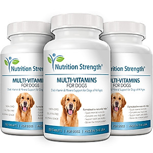 Nutrition Strength Multivitamins for Dogs, Daily Vitamin and Mineral Support, Nutritional Dog Supplements for All Canine Breeds and Sizes, Promotes Immune Health in Pets, 120 Chewable Tablets