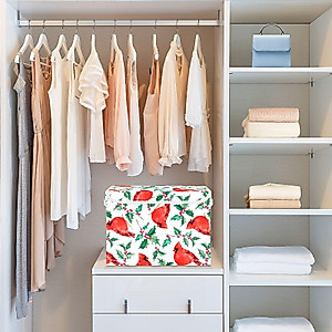 Krafig Foldable Storage Box Christmas Red Holly Berries Cardinal Birds Large Cube Organizer Bins Containers Baskets with Lids Handles for Closet Organization, Shelves, Clothes, Toys