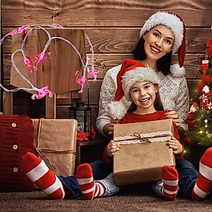 WIND Flamingos Holiday LED Christmas Light Phone Charging Cable, 8 LED Pink 50inch Charger Cord for Phone 14/Pro Max/Pro/Plus,Phone 13/Pro Max/Pro/Mini,12 Pro Max/11 Pro/8/7 Airpods etc