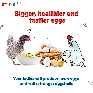 Grumpy Grubs Premium (5lbs) - Superior to Mealworms - Dried Black Solider Fly Larvae Treats for Hens Ducks Wild Birds, Calcium Rich and Healthy High Protein Chicken Treats