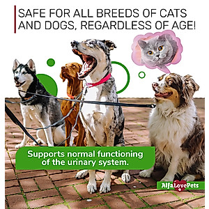 Dog UTI Treatment ✿ Cat UTI Remedy ✿ Dog Urinary Tract Infection Treatment ✿ Cat Urinary Supplement ✿ Bladder + Kidney Support for Cats & Dogs ✿ UTIs and Bladder Stones ✿ Natural Cranberry Supplement