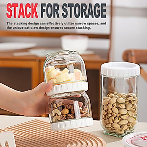 3-Piece Cute Glass Jars with Screw Airtight Lids, Wide Mouth Bottle Glass Storage Jars with Lids for Food Candy Grain Kitchen, Cat Claws Overnight Oats Containers Jars Small Stackable Canning Jar