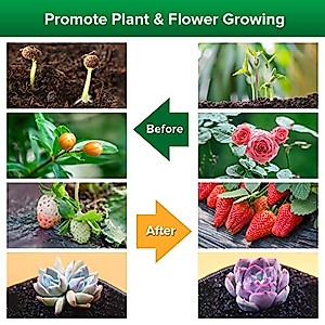 SANSI LED Grow Lights for Indoor Plants, 300W Full Spectrum Clip-on Gooseneck Grow Light with Ceramic Tech.,20W Power Plant Light with Optical Lens for High PPFD, Lifetime Free Bulbs Replacement White