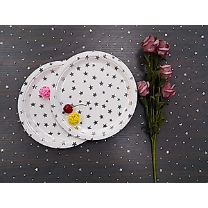 Ottin White and Silver Stars Paper Plates 9'' 48 Counts Twinkle Twinkle Little Star Party Plates for Wedding Birthday Bridal Shower Christmas New Year Winter Party Mother's Day