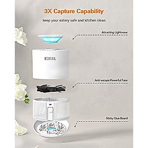 NONTAIL Fruit Fly Traps for Indoors, Mosquito Trap, Catcher & Killer for Gnat, Moth, Flies, Non-Zapper Insect Traps with UV Light Fan & Sticky Glue