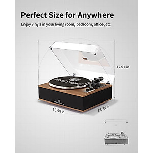 ANGELS HORN Vinyl Record Player, Bluetooth Turntable with Built in Speakers Phono Preamp, High Fidelity Turntables for Vinyl Records with Magnetic Cartridge AT-3600L, Belt Drive 2-Speed