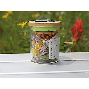 STASHLOGIX Bamboo SmartJar Dispensary Packaging - Airtight Odor Proof Container with Humidity Sensor (Small)