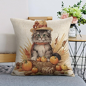 Cute Cat Autumn Pumpkin Throw Pillow Covers 18×18 Pillowcases Set of 1 Thanksgiving Day Linen Decorative Square Pillow Case Cushion Covers Standard Size for Sofa Couch Outdoor Bed Pillow Protectors