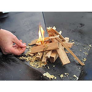 LIGHTNIN'FLAME FIRESTARTER - All Natural Food Safe. 3 qts ignites 48 Fires