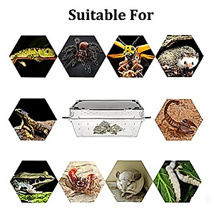 PINVNBY Reptile Feeding Box Transparent Snake Breeding Box Plastic Lizard Hatching Container Portable Gecko Habitat for Spiders Scorpions Frogs Tarantulas Turtles Hideout 9.4×4.1×3.9  