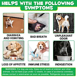 Probiotics for Dogs (Duck 30PCS), Probiotic Chews for Dogs with Digestive Enzymes, Dog Probiotics for Yeast, Itchy Skin, Anti Diarrhea, Gut Digestive Health, Allergy & Immune Support - for All Breeds