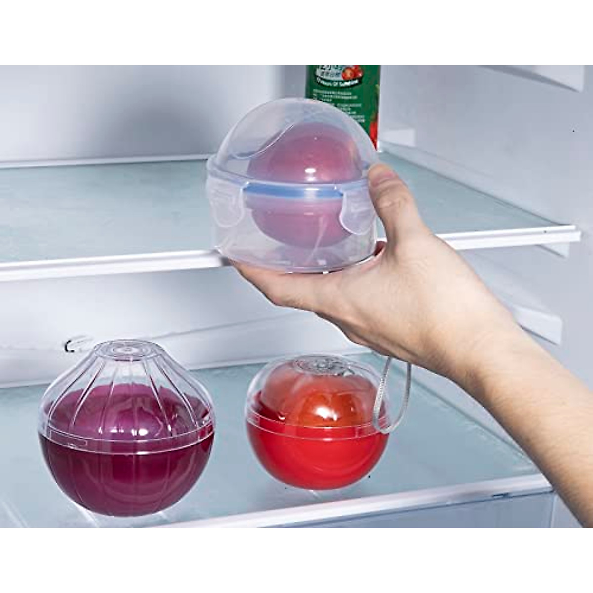 Ortarco Fruit and Vegetable Storage Container Lemon Tomato garlic Keeper Onion Saver Holder Tool