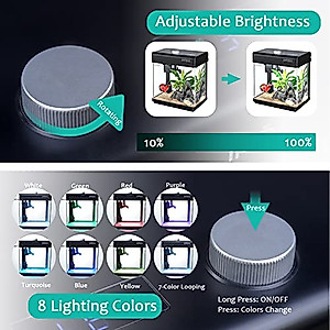 iPriro Glass Betta Aquarium Starter Kits Fish Tank with LED Light and Temp Display 1.5 Gallon, Top Filtration, Gravel Cleaners, Cleaner Tool 4 in 1
