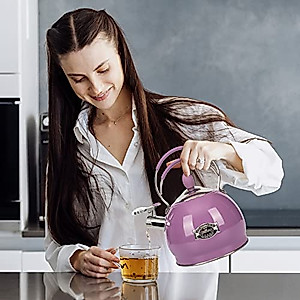 Whistling Tea Kettle Stainless Steel Teapot, Teakettle for Stovetop Induction Stove Top, Fast Boiling Heat Water Tea Pot 2.6 Quart