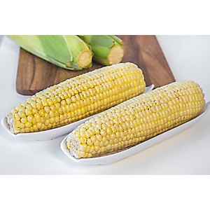 Fox Run Corn on the Cob Dish, Set of 2, White Trays
