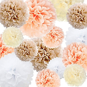 Tissue Paper Pom Poms Paper Flower 22 Pcs Champagne, Ivory, White, Peach for Birthday Bachelorette Wedding Baby Shower Bridal Shower Party Decoration