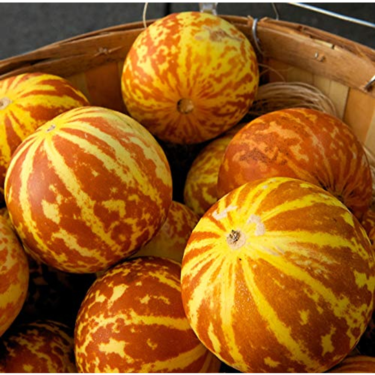 20 Rare Tigger Melon Seeds | Exotic Garden Fruit Seeds to Plant | Sweet Exotic Melons, Grow and Eat