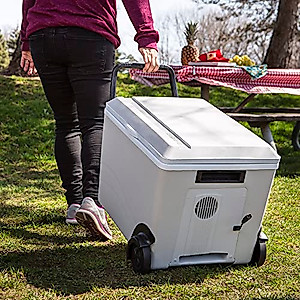 Koolatron Thermoelectric Iceless 12V Cooler/Warmer 36 qt (34 L) w/Wheels, Portable Electric Rolling Car Fridge w/ 12 Volt DC Power Cord, Gray/White, Travel Road Trips Camping, Made in North America