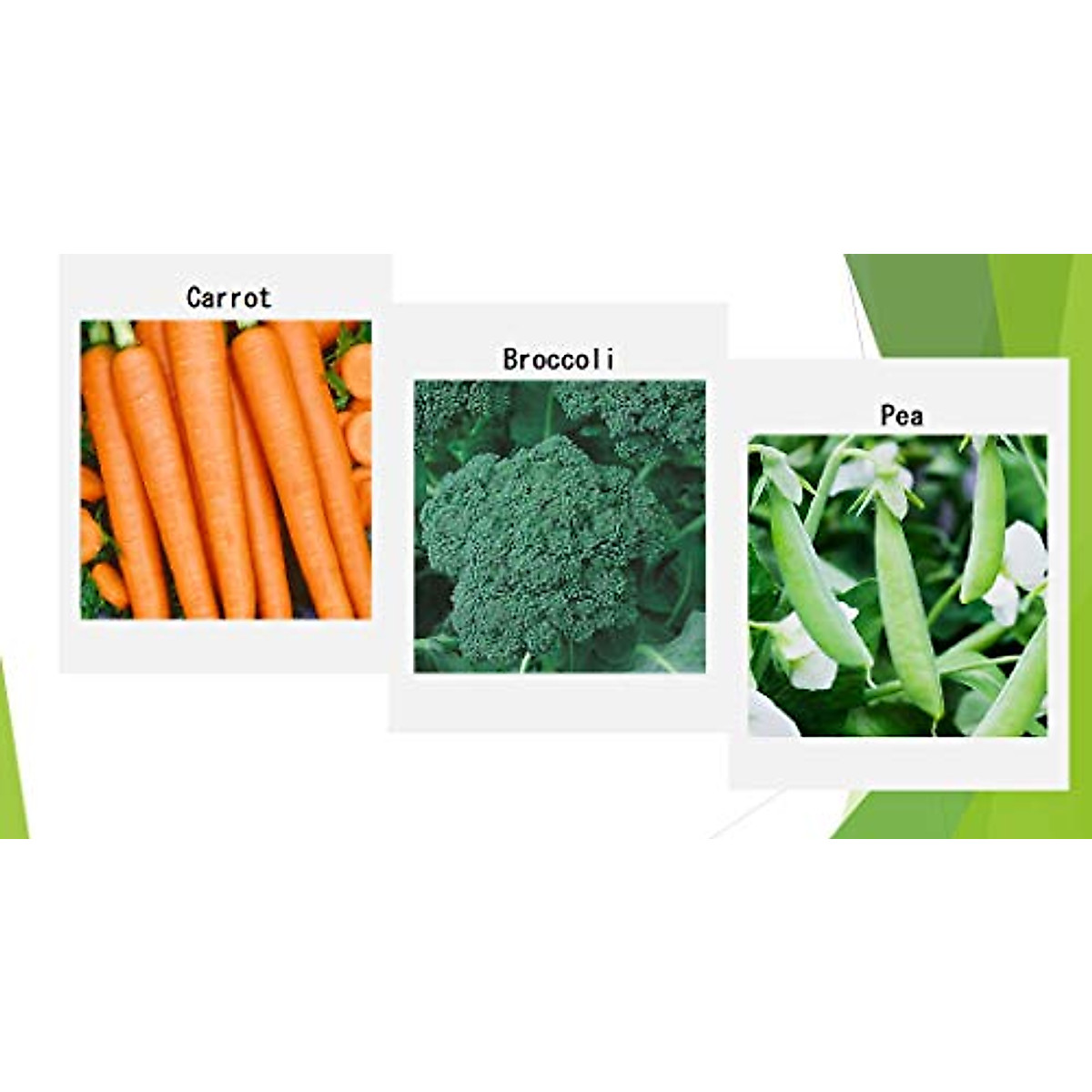 Premium Winter Vegetable Seeds for Planting Organic Non-GMO Heirloom Seeds 12 Varieties: Radish, Pea, Broccoli, Beet, Carrot, Cauliflower, Green Bean, Kale, Arugula, Cabbage, Asparagus, Brussel Sprout