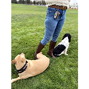 Pets Inn Dog Poop Bag Holder with Leash Attachment - Fits Any Dog Leash - Includes Free Roll of Dog Bag, burberry, Burberry Brown, 3.75,2,2