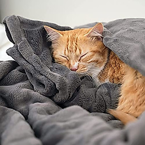 Cozy Bliss Milk Throw Blanket for Couch, Bed Fleece Blanket Twin Size Ultra Soft & Lightweight Plush Sofa Grey Throw Blanket,60"x80"