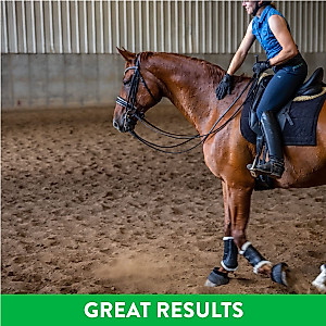 MagnaGard Pellet, Gastric Support Supplement for Horses | Palatable Alfalfa Pellet with Calcium, Magnesium, and 50+ Trace Minerals | 30 Day Supply