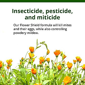 Humboldts Secret Flower Shield – Powerful Insecticide – Pesticide – Miticide – Fungicide – Bug Spray – Spider Spray – Plant and Flower Protection – Healthy Treatment for Pests and Fungus (2 Ounce)